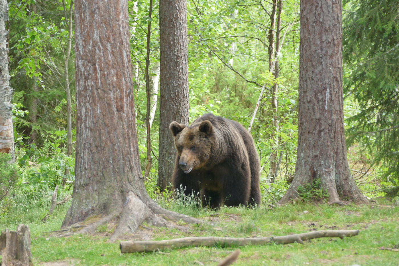 Which hide is best for a comfortable nature experience ...